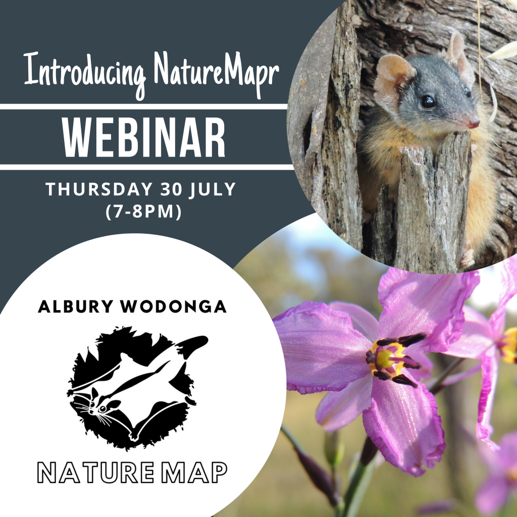 Introducing Nature Map webinar | Albury Conservation Company